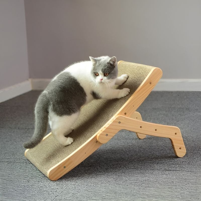 Griffoir pour chat canapé - Chatmouillé