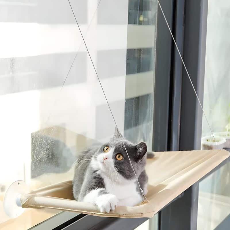 Hamac de fenêtre pour chat - Chatmouillé